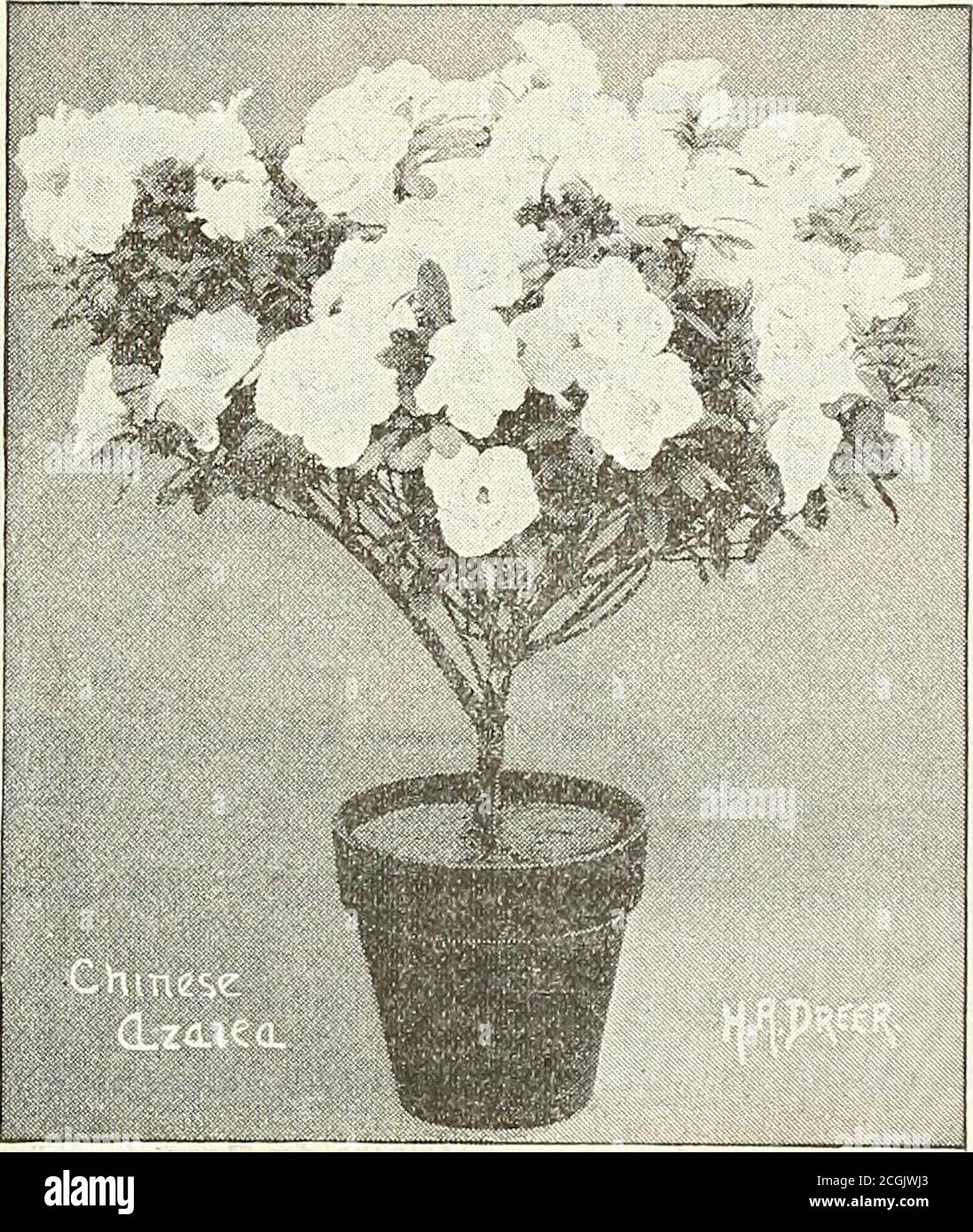 1902 calendar hi-res stock photography and images - Alamy