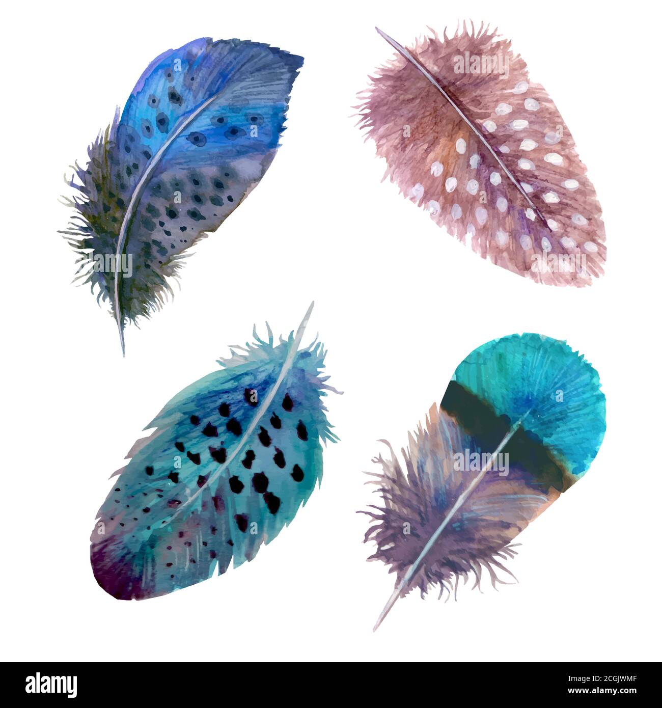 Watercolor feathers set isolated on white. Hand drawn watercolour bird ...