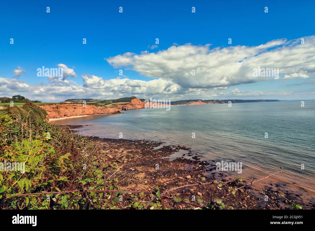 Coastal Countryside near Ladram Bay, Devon Stock Photo - Alamy
