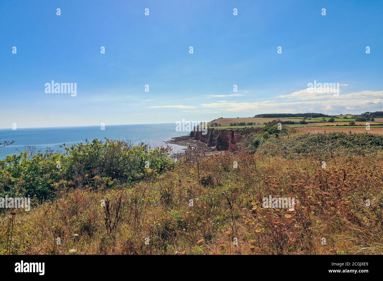 Devon coastal scenery hi-res stock photography and images - Alamy