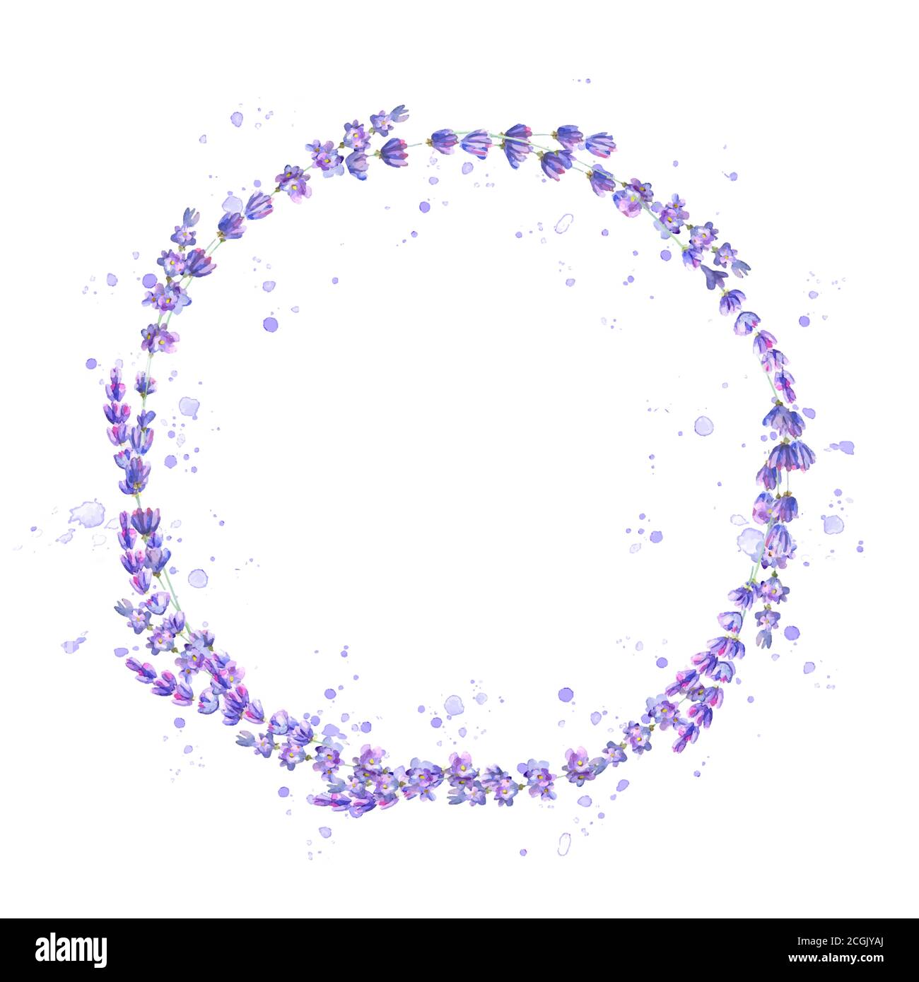 Lavender flowers purple watercolor round frame isolated on white ...