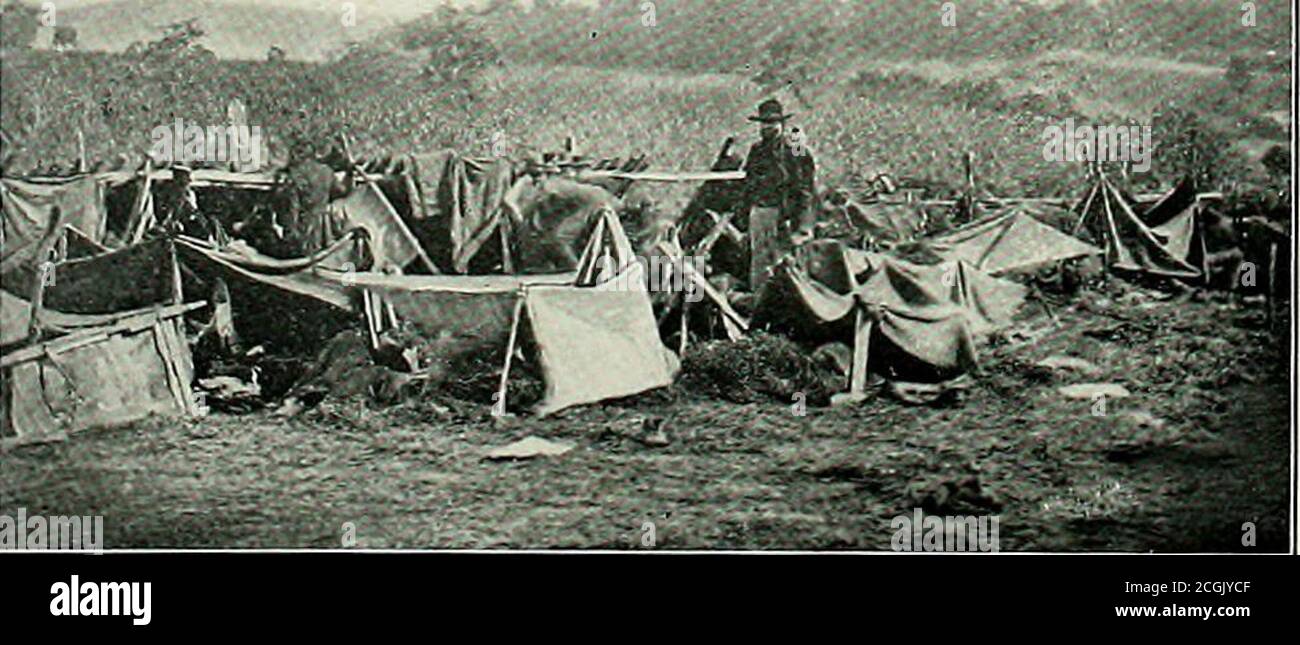 Battle of antietam dead hi-res stock photography and images - Alamy