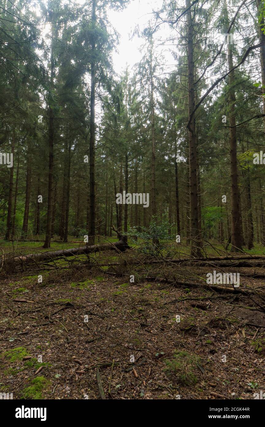 Zelhem hi-res stock photography and images - Alamy