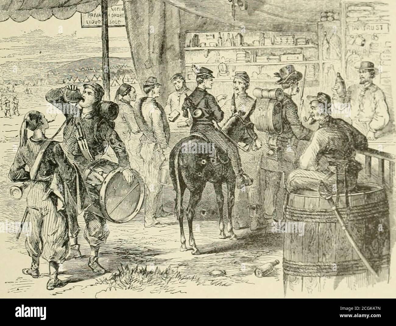 Horse and mule corps hi-res stock photography and images - Alamy