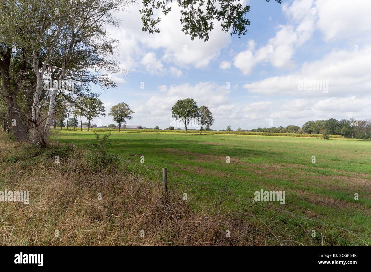 An agricultural field near Zelhem, The Netherlands Stock Photo - Alamy