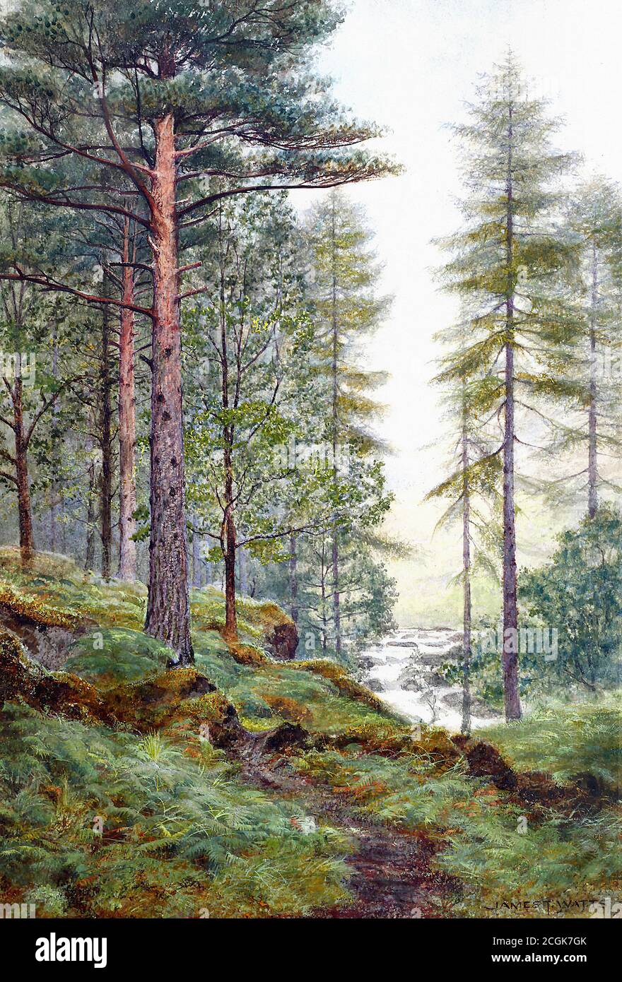 Llugwy bettws y coed hi-res stock photography and images - Alamy