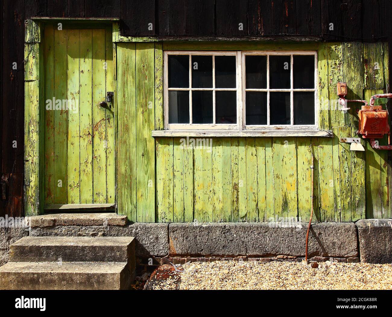 Lime green and chartreuse old peeling worn paint on clapboard wood ...
