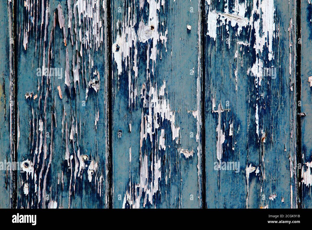 Aegean blue and sapphire blue old peeling worn paint on clapboard wood ...
