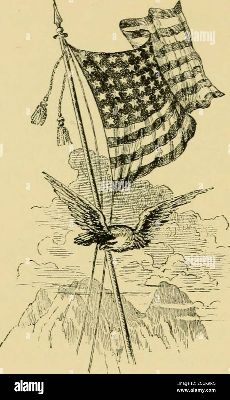 American spirit rose hi-res stock photography and images - Alamy