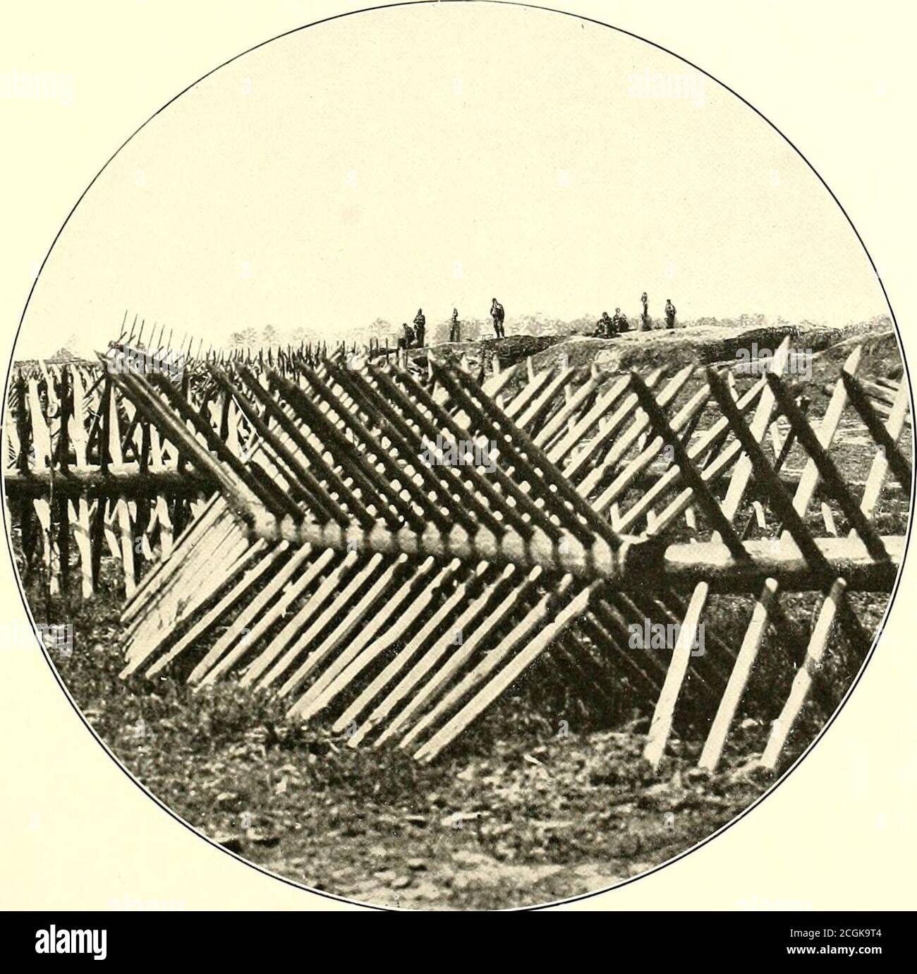 Abatis High Resolution Stock Photography and Images - Alamy