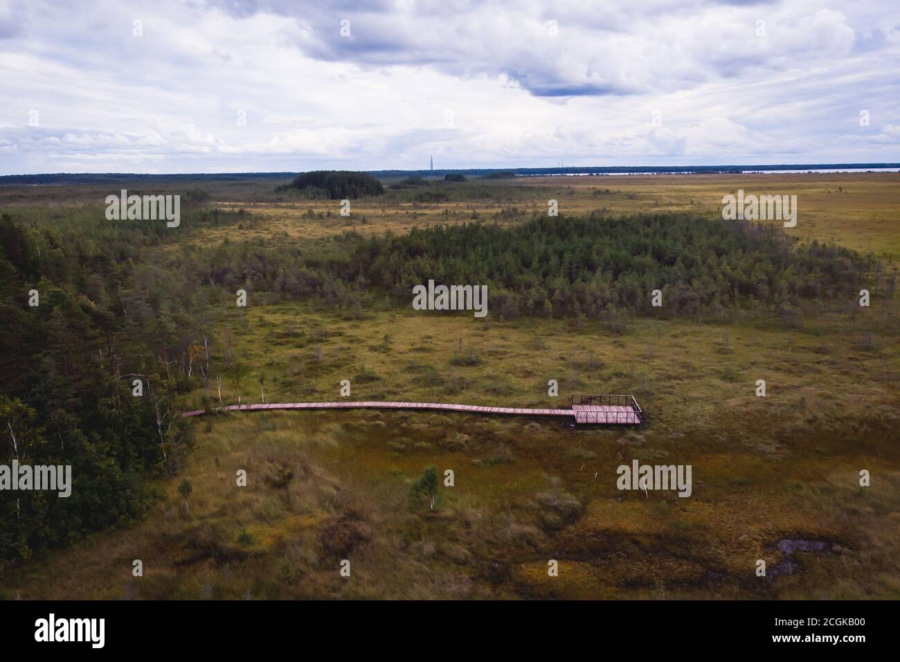 Summer view of wooden walkway on the territory of Sestroretsk swamp ...
