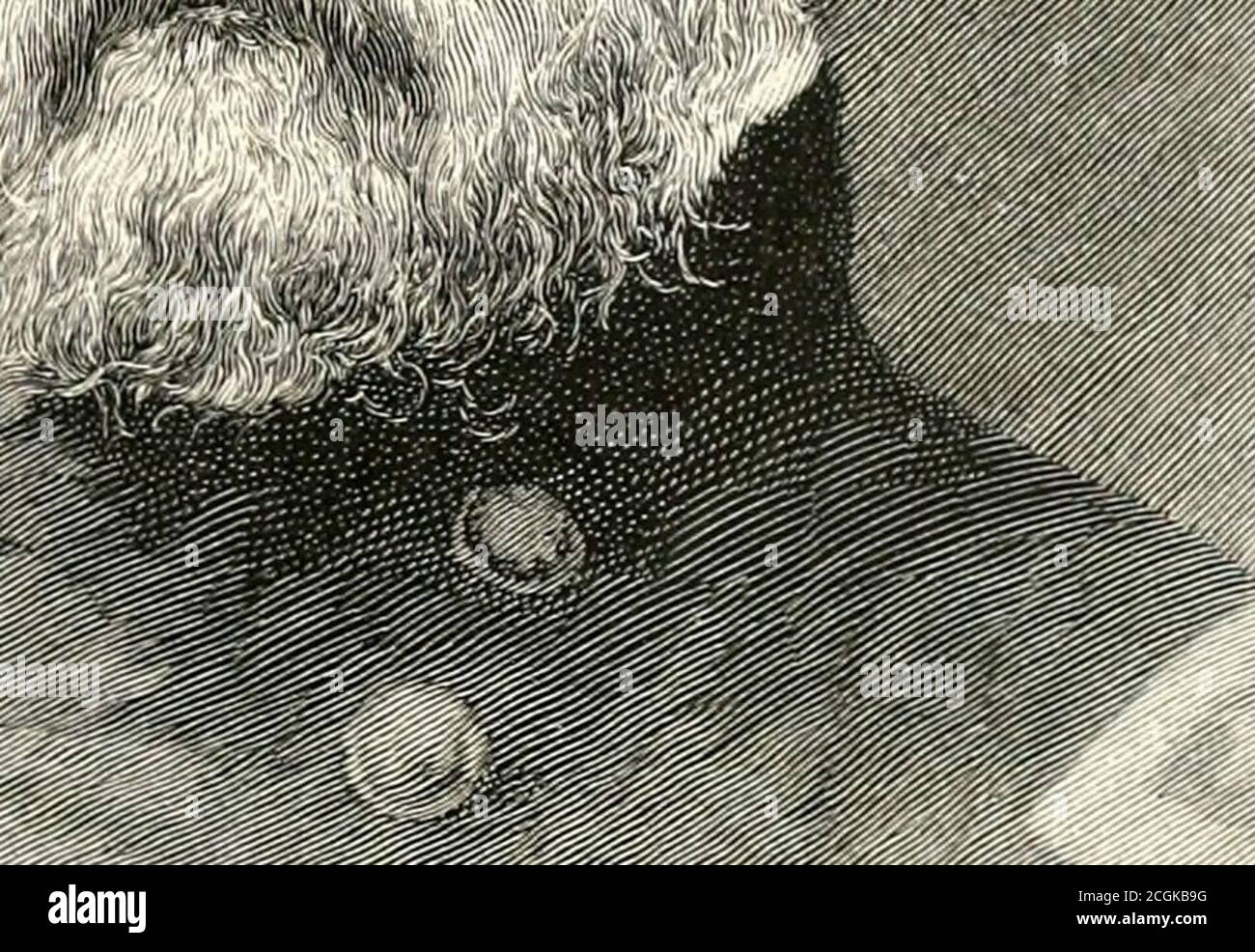 Back of firing lines hi-res stock photography and images - Alamy