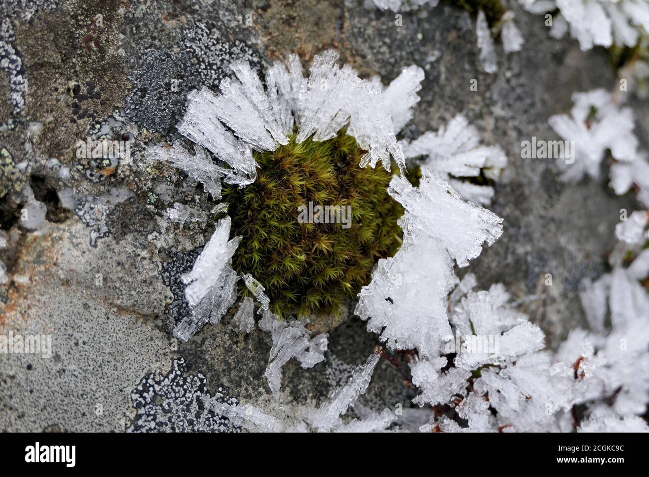 Green crystals on white rock hi-res stock photography and images - Alamy