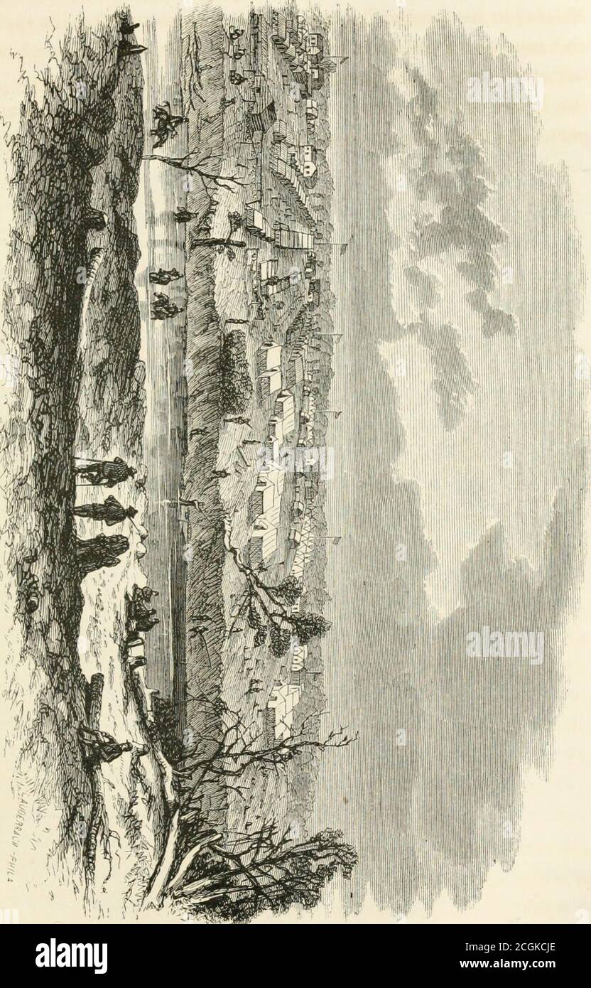 Provost marshal general army hi-res stock photography and images - Alamy