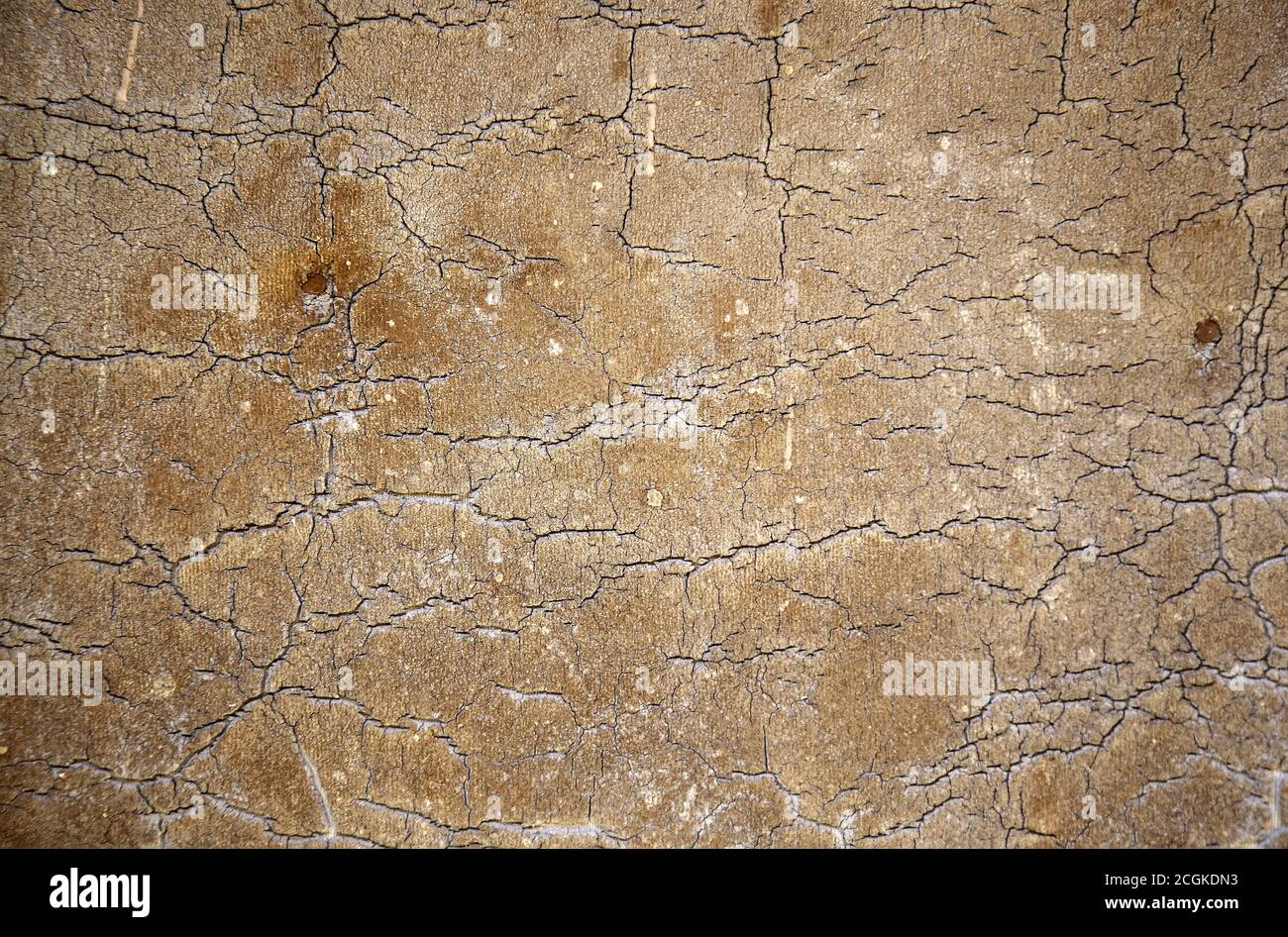 Torn grain wood plank hi-res stock photography and images - Alamy