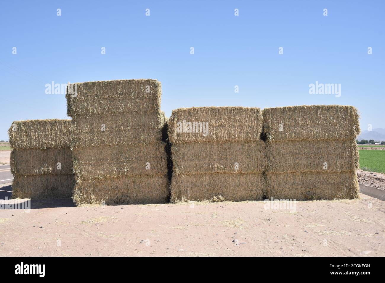 Arizona baled alfalfa hi-res stock photography and images - Alamy