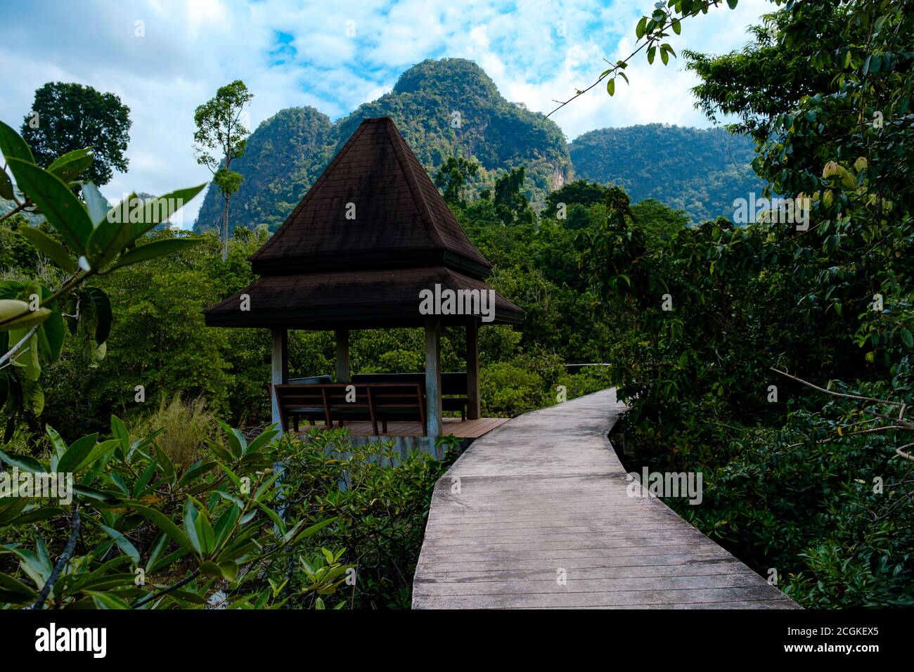 Emerald Pool or Tha Pom Klong Song Nam at Krabi Province, Thailand ...