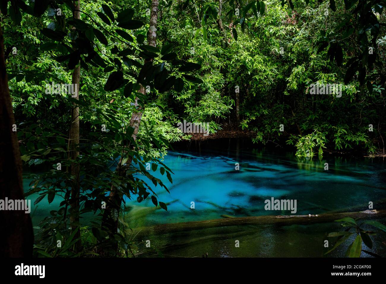 Emerald pool in sa morakot national park hi-res stock photography and ...