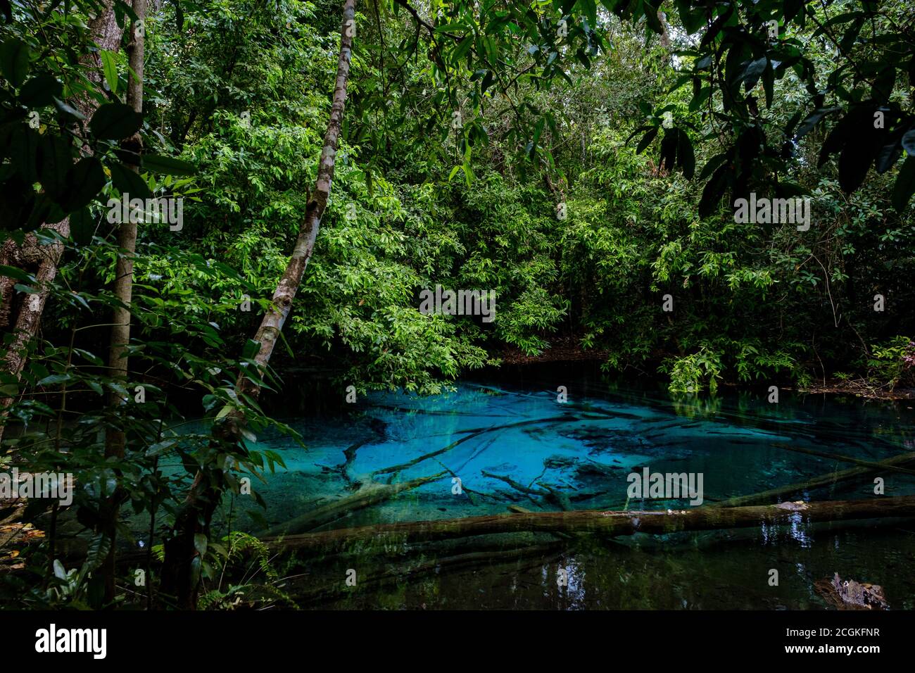 Emerald pool in sa morakot national park hi-res stock photography and ...