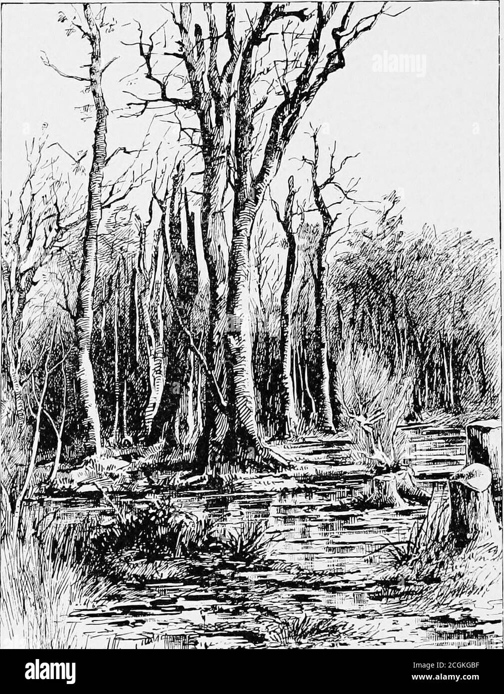 General alexander shaler hi-res stock photography and images - Alamy