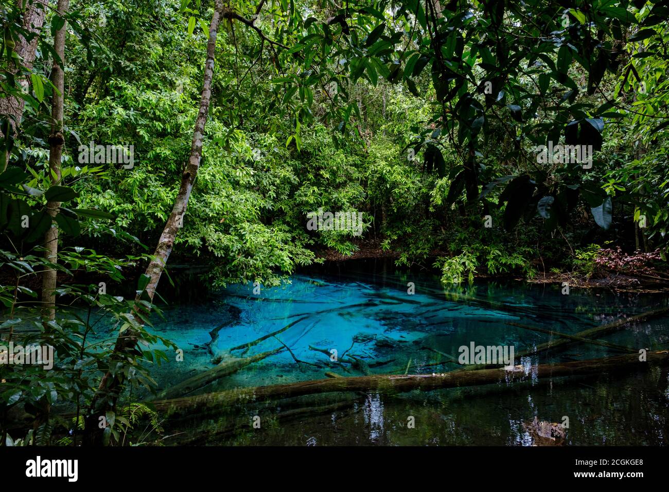 Emerald pool in sa morakot national park hi-res stock photography and ...