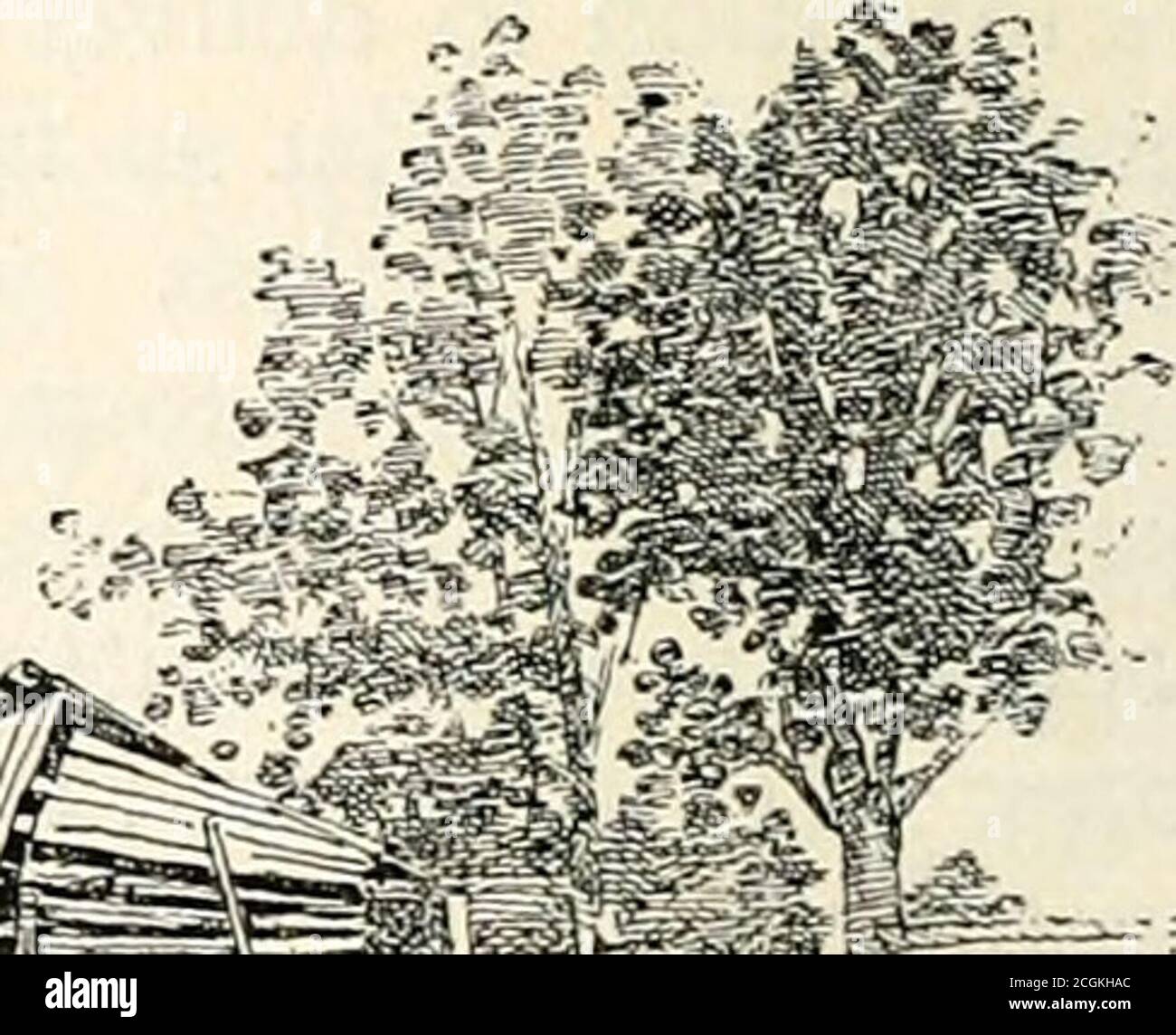 . Abraham Lincoln and the battles of the Civil War . ^ Y. % r ...