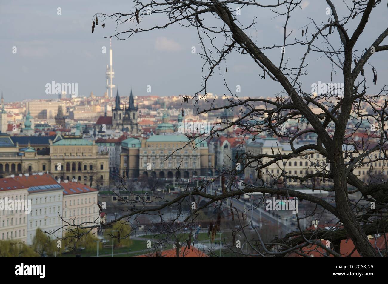 Top view city landscape of Prague with its historic buildings, Prague ...