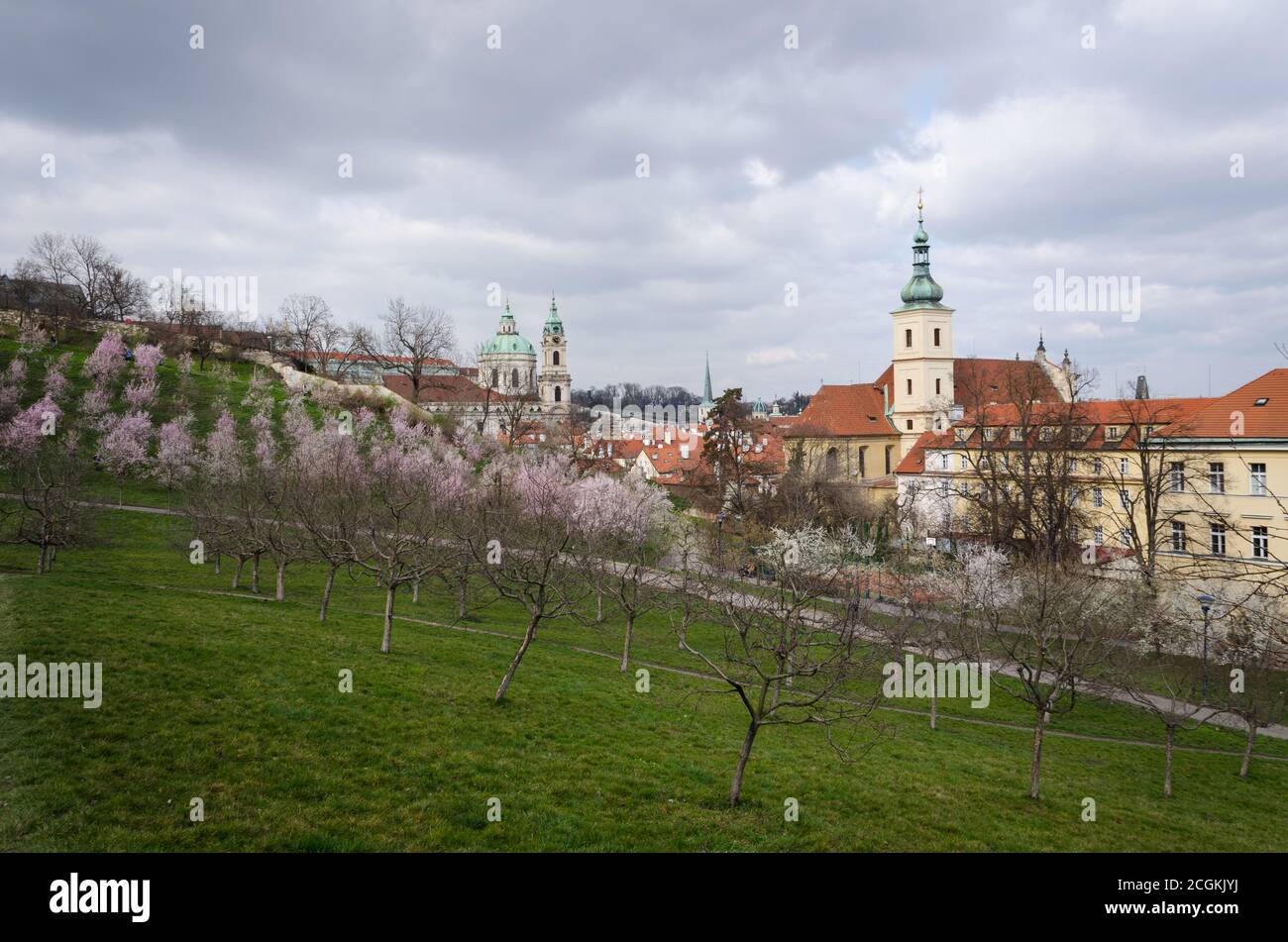 Prague cityscape from a garden with blooming trees, Czch Republic Stock ...