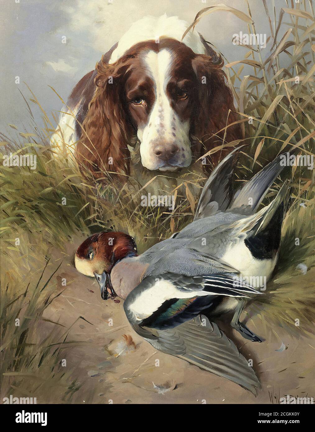 Woodhouse William - a Spaniel Retrieving a Widgeon - British School ...