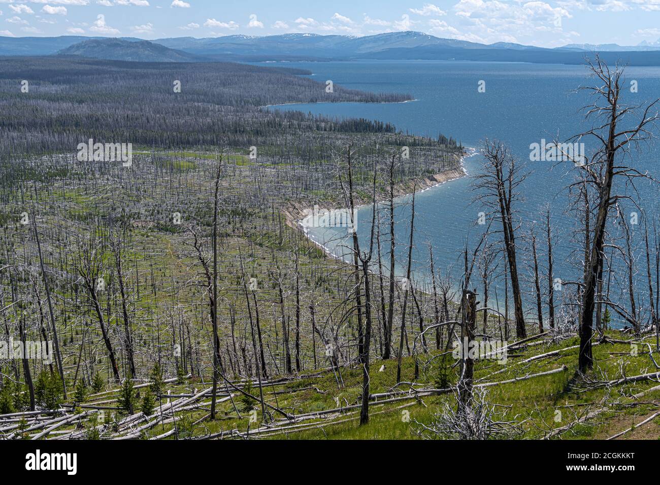 Yellowstone overview hi-res stock photography and images - Alamy