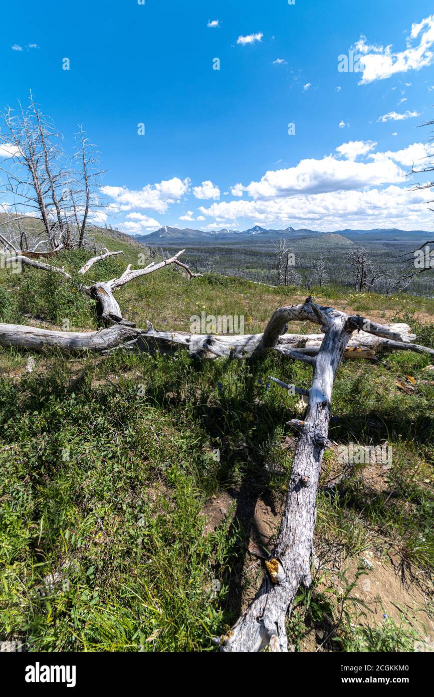Lake Butte Overview, Yellowstone National Park Stock Photo - Alamy