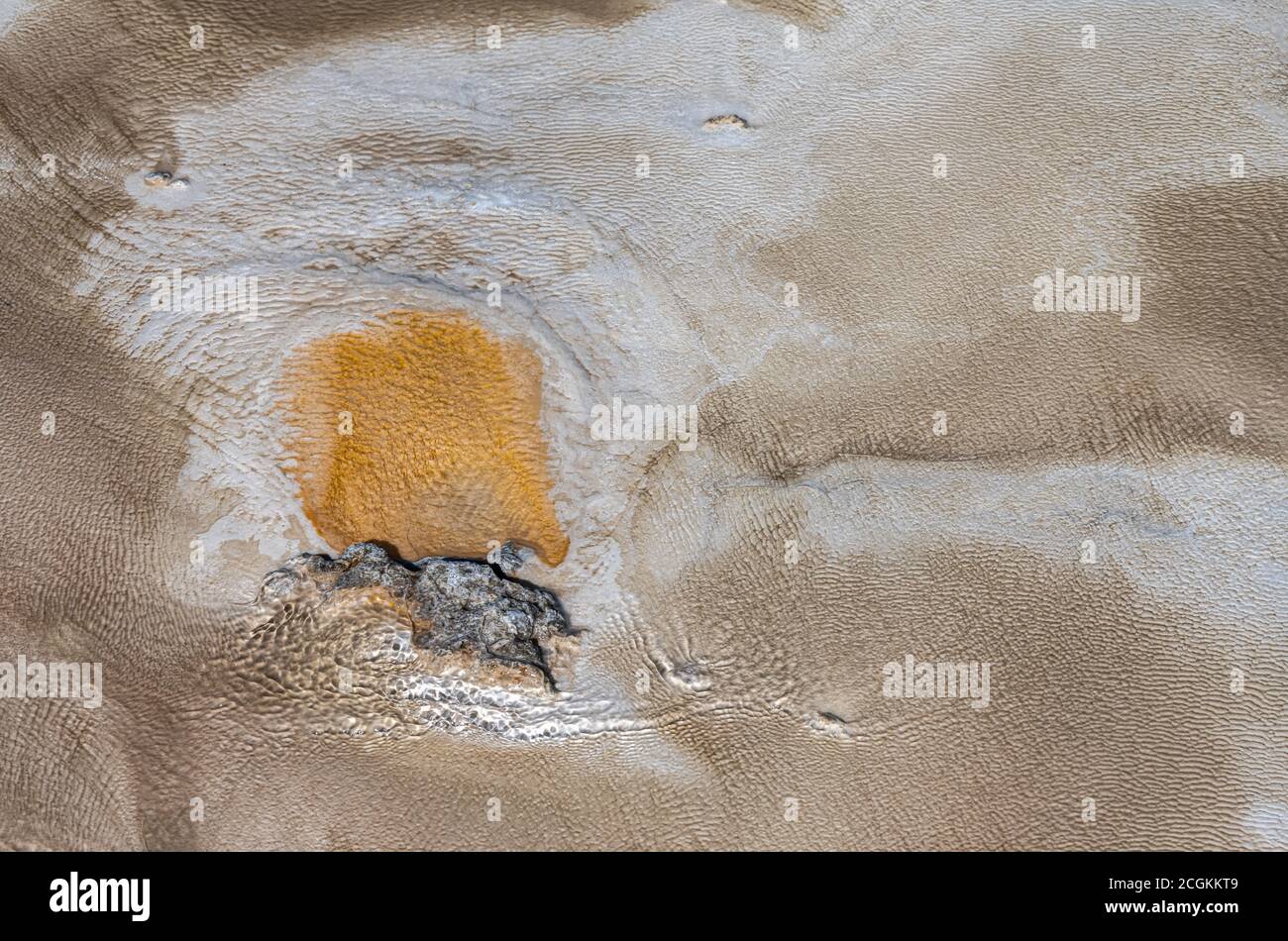 Running water, Mud and Bacteria next to a Geyser, Upper Geyser Basin ...