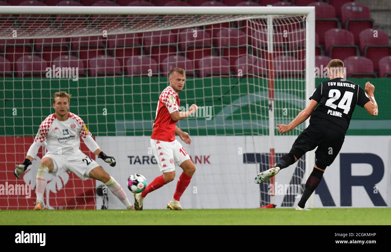 Noah plume hi-res stock photography and images - Alamy