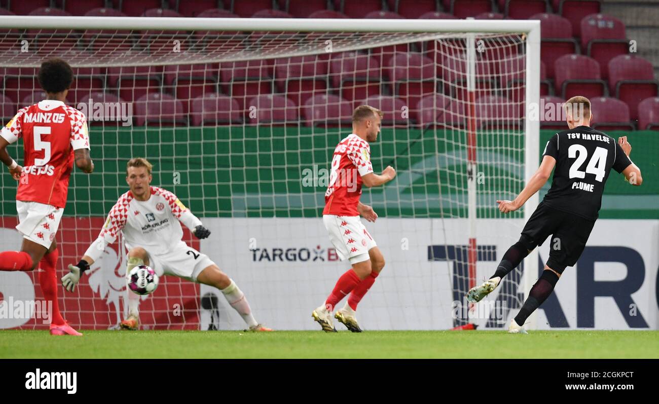 Noah plume hi-res stock photography and images - Alamy