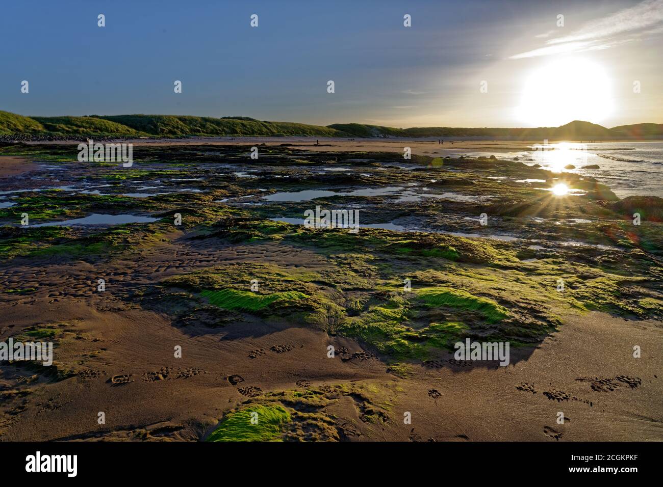 Sunset over Embleton Beach near Dunstanburgh Castle in Northumberland ...