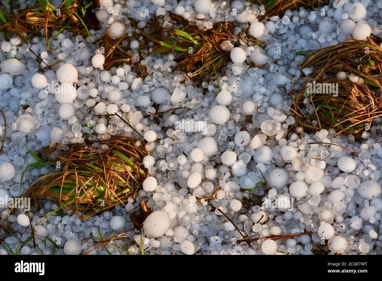 Large hail stones in severe storm striking rural home and property ...