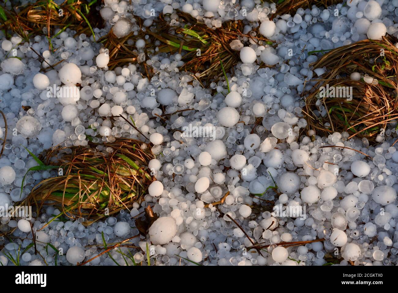 Large hail stones in severe storm striking rural home and property ...