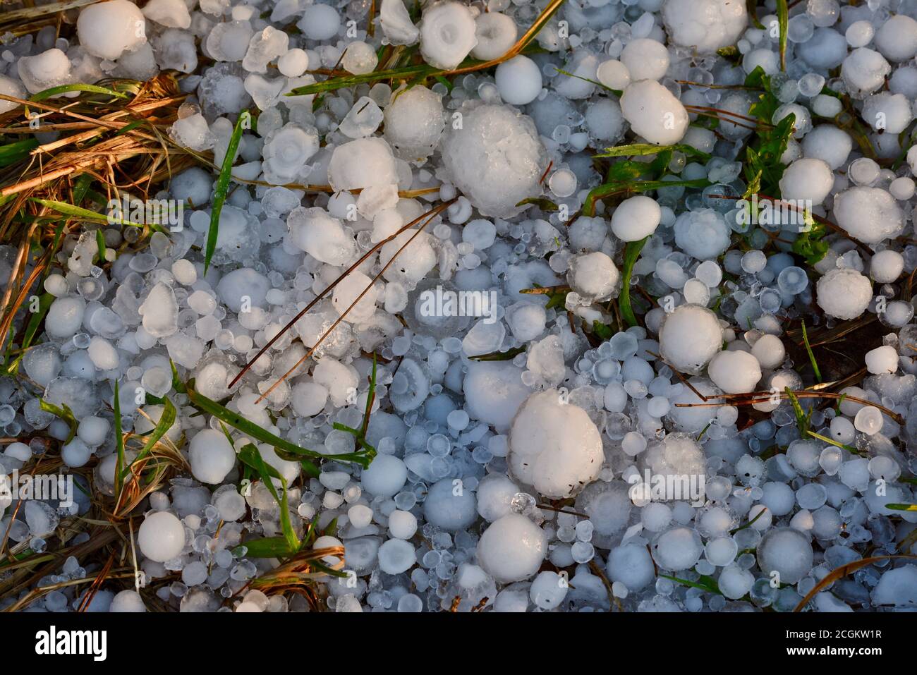 Large hail stones in severe storm striking rural home and property ...