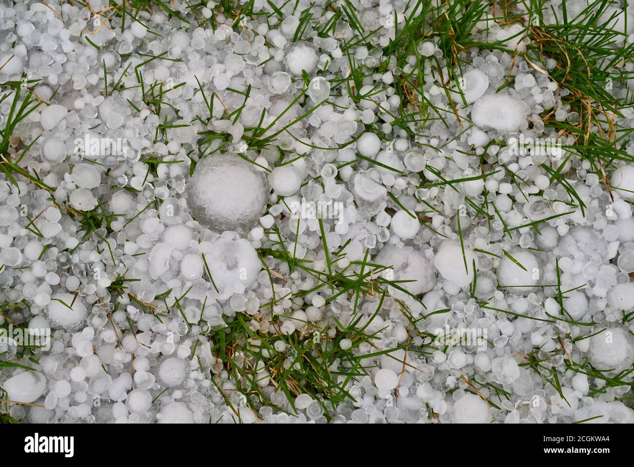 Large hail stones in severe storm striking rural home and property ...