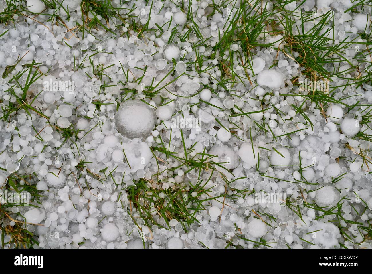 Large hail stones in severe storm striking rural home and property ...