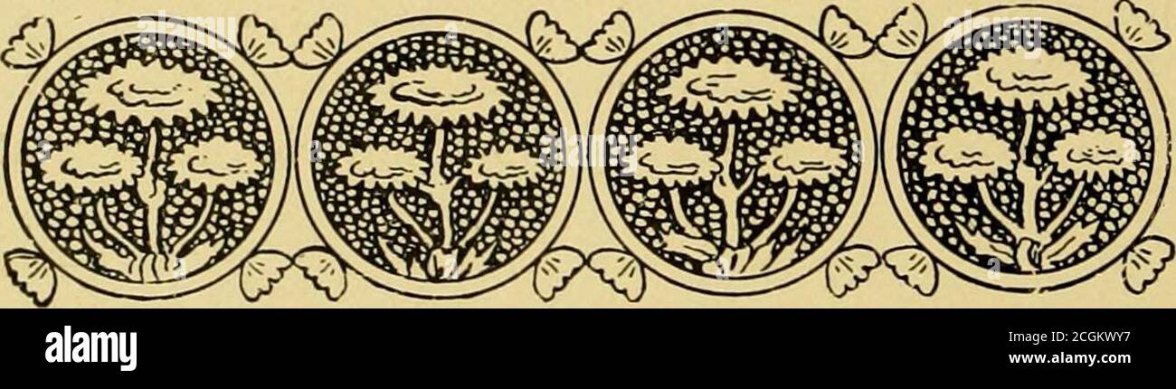 Quibble island hi-res stock photography and images - Alamy