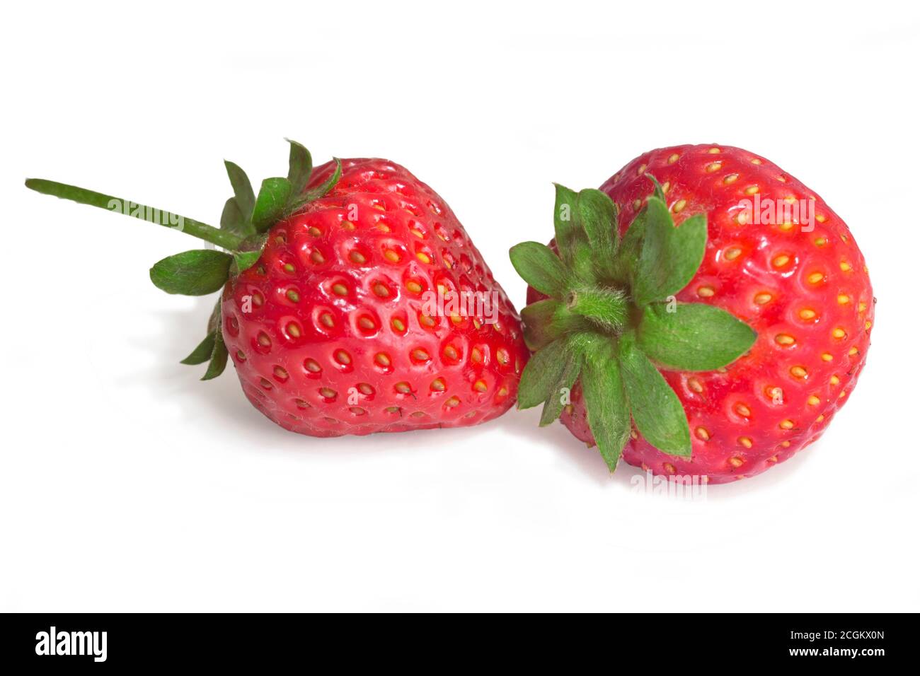Isolated strawberry. Two strawberry fruit isolated on white background ...