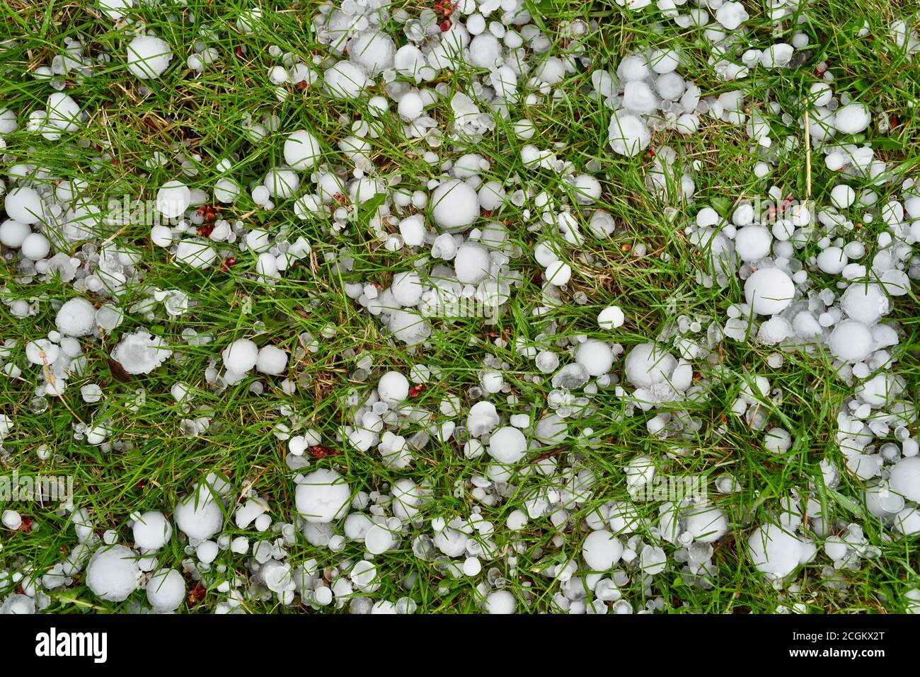 Huge hail stones hi-res stock photography and images - Alamy