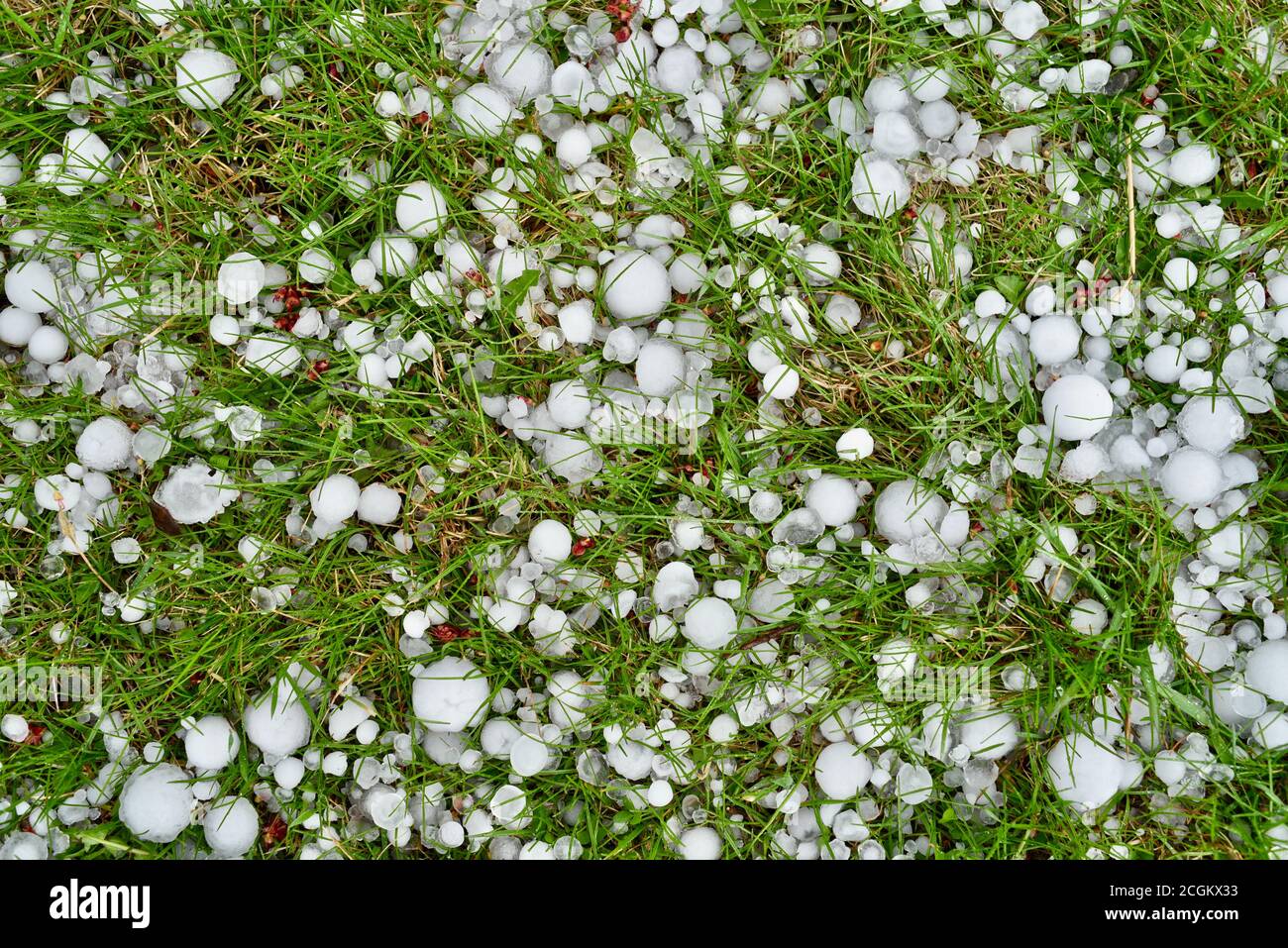 Large hail stones in severe storm striking rural home and property ...