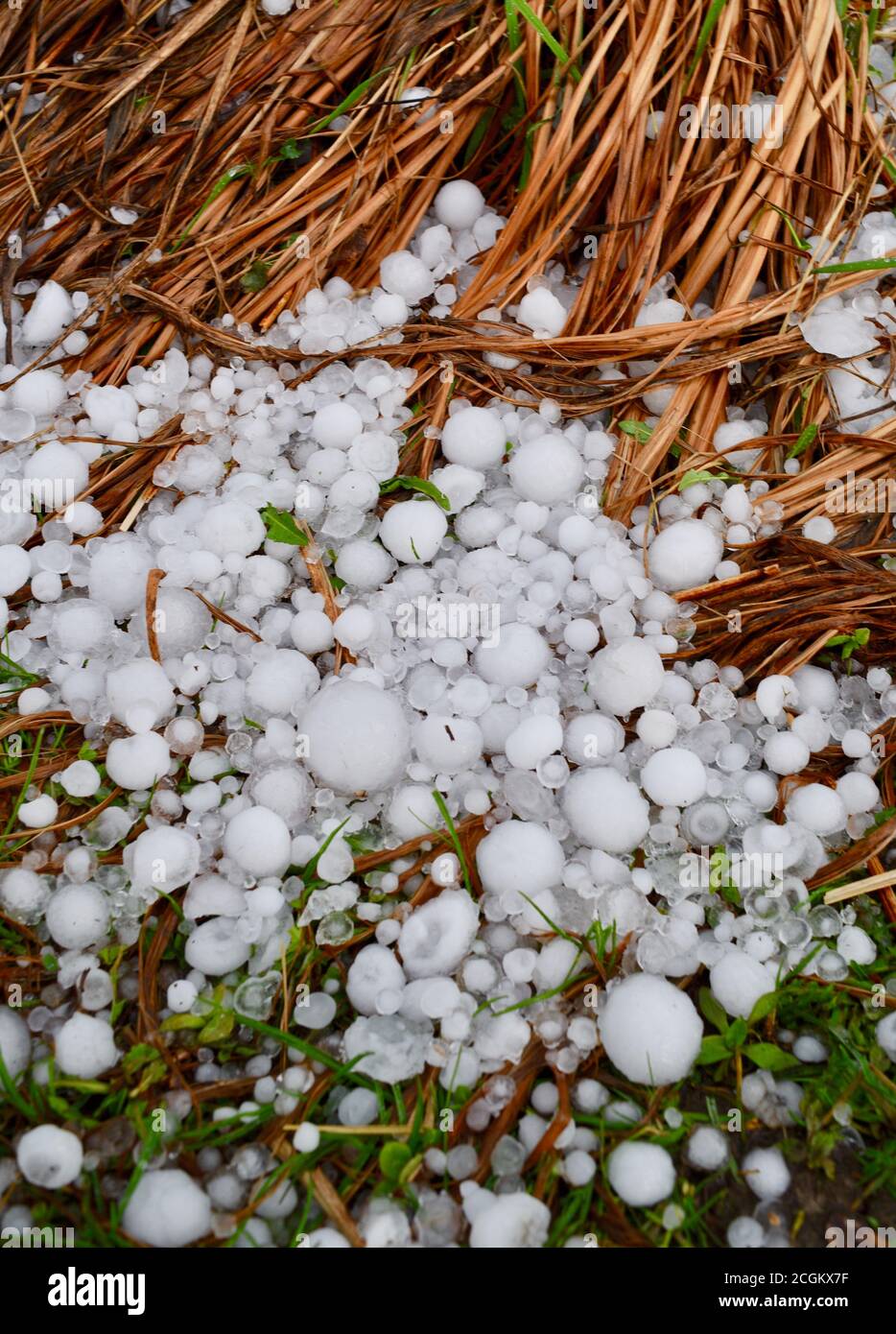 Large hail stones in severe storm striking rural home and property ...