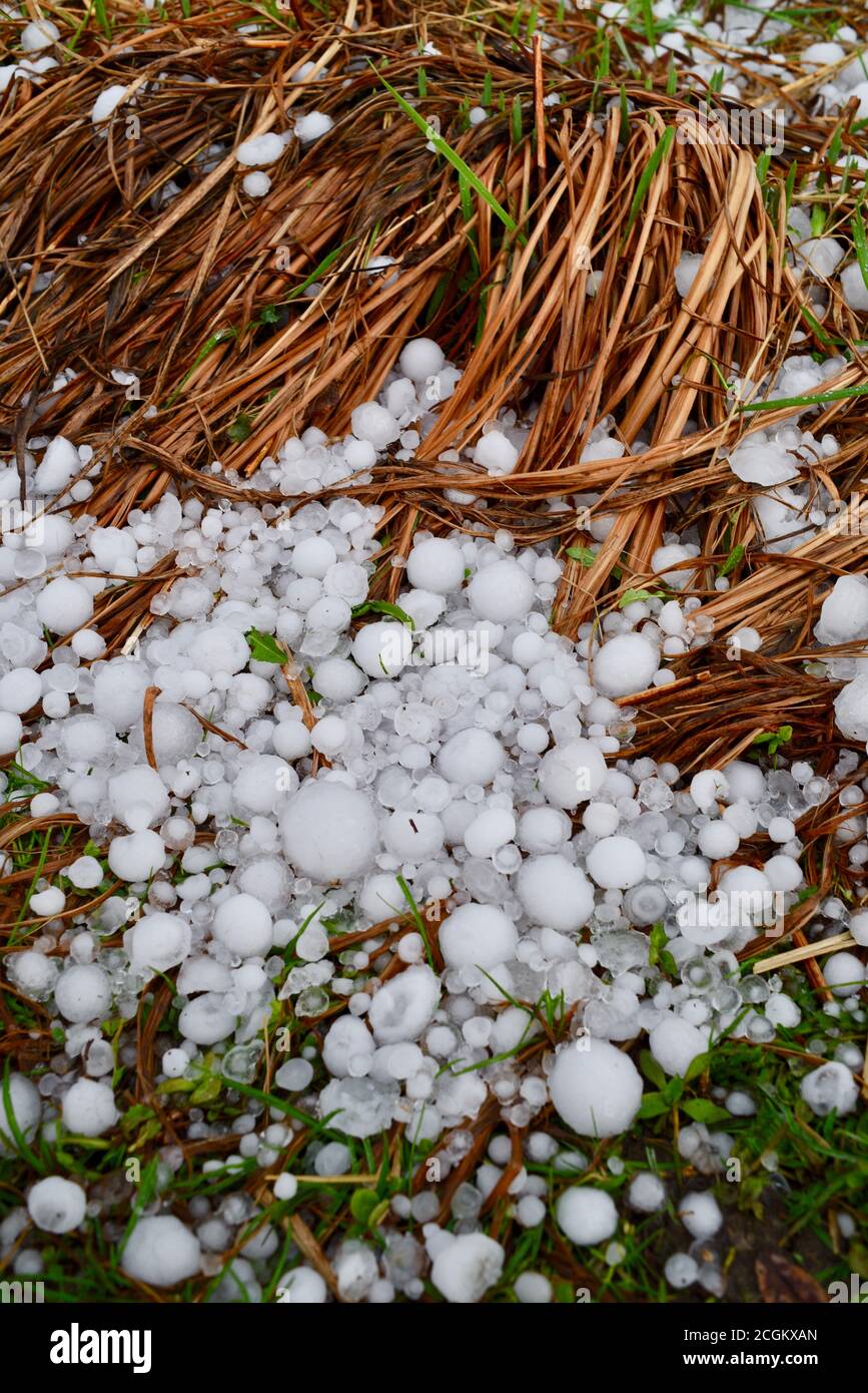Large hail stones in severe storm striking rural home and property ...