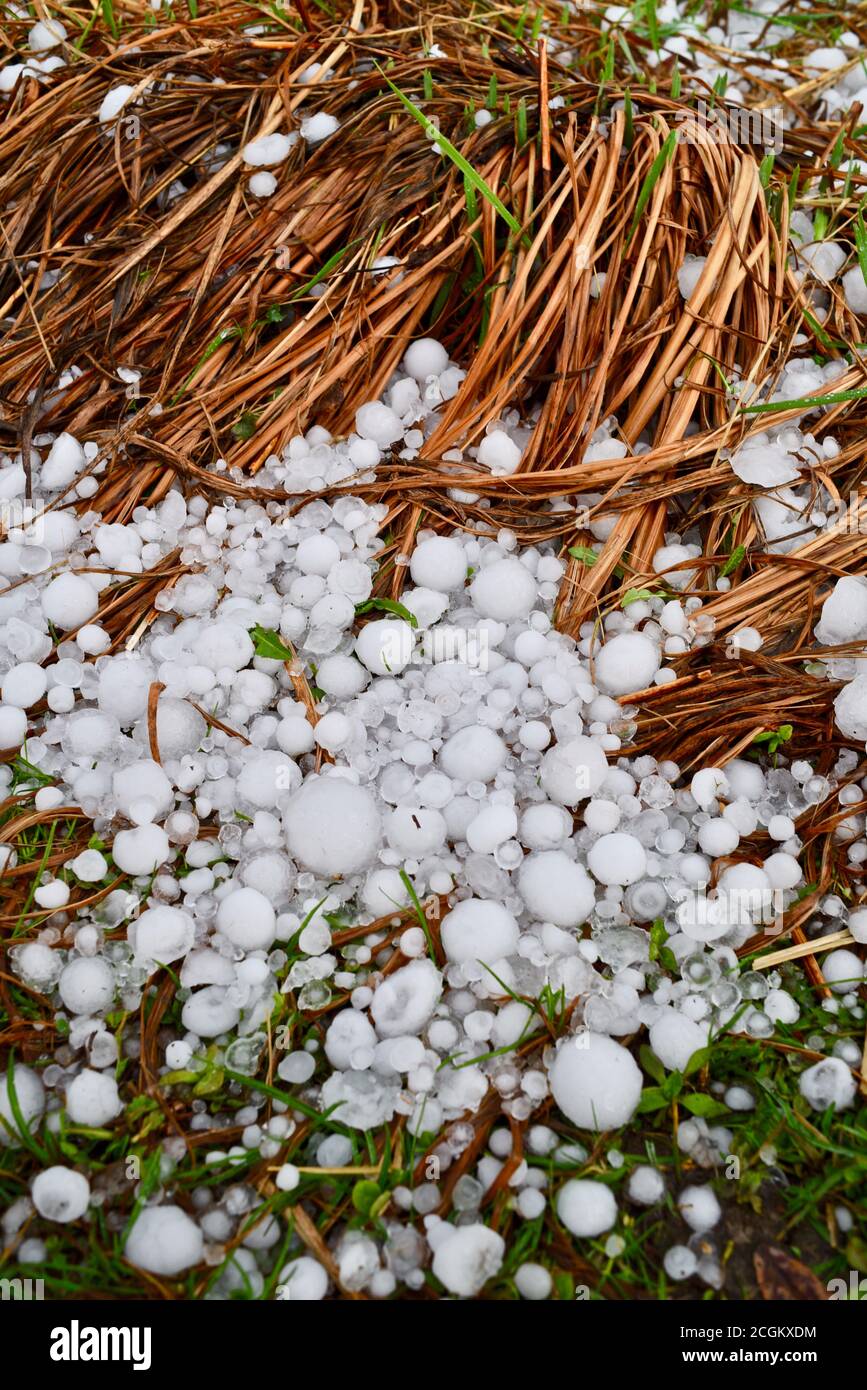 Large hail stones in severe storm striking rural home and property ...