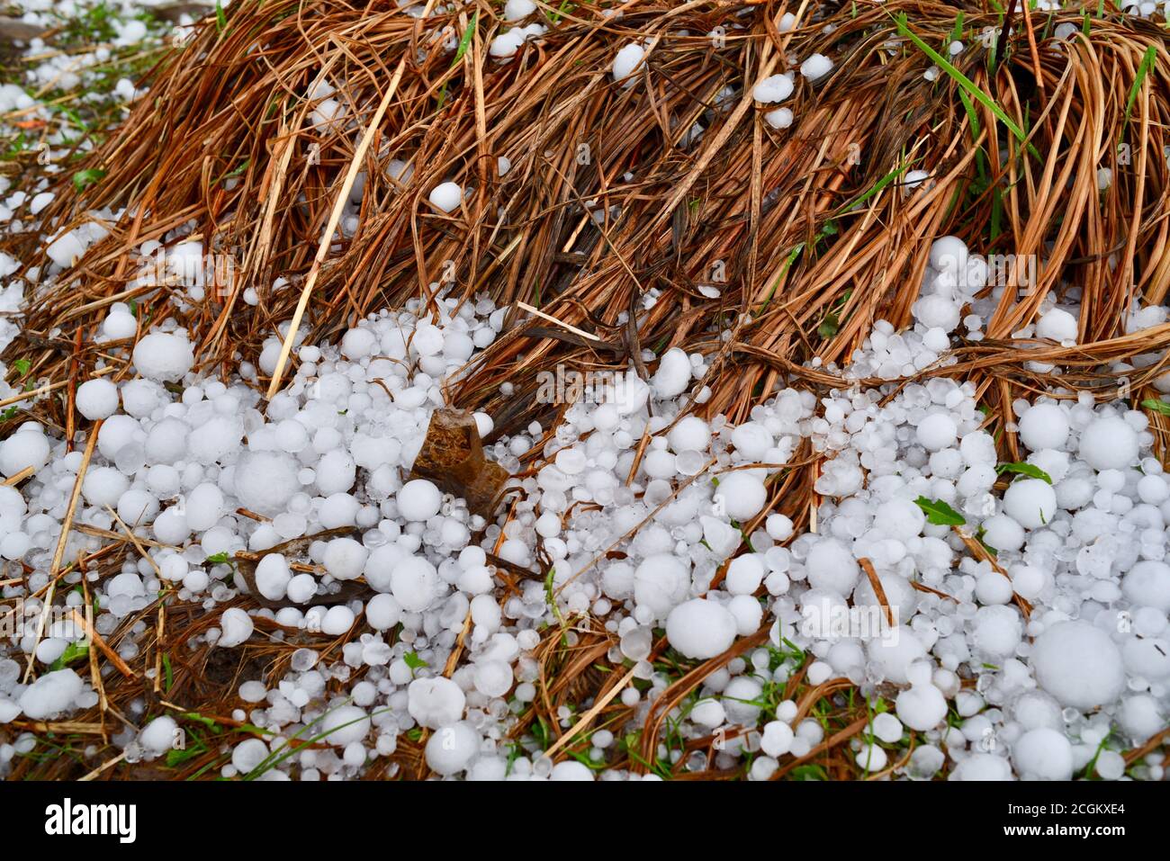 Large hail stones in severe storm striking rural home and property ...