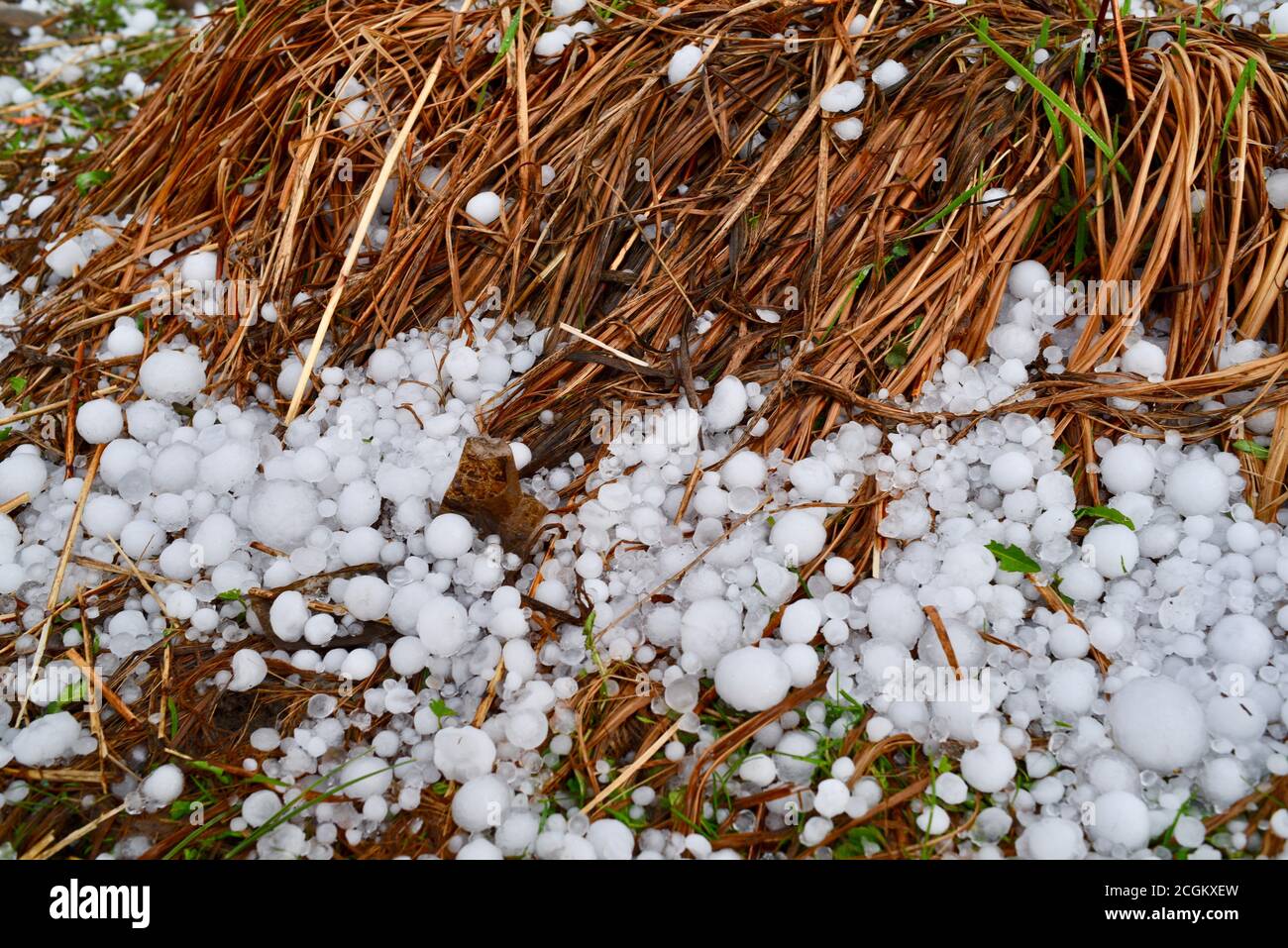 Large hail stones in severe storm striking rural home and property ...