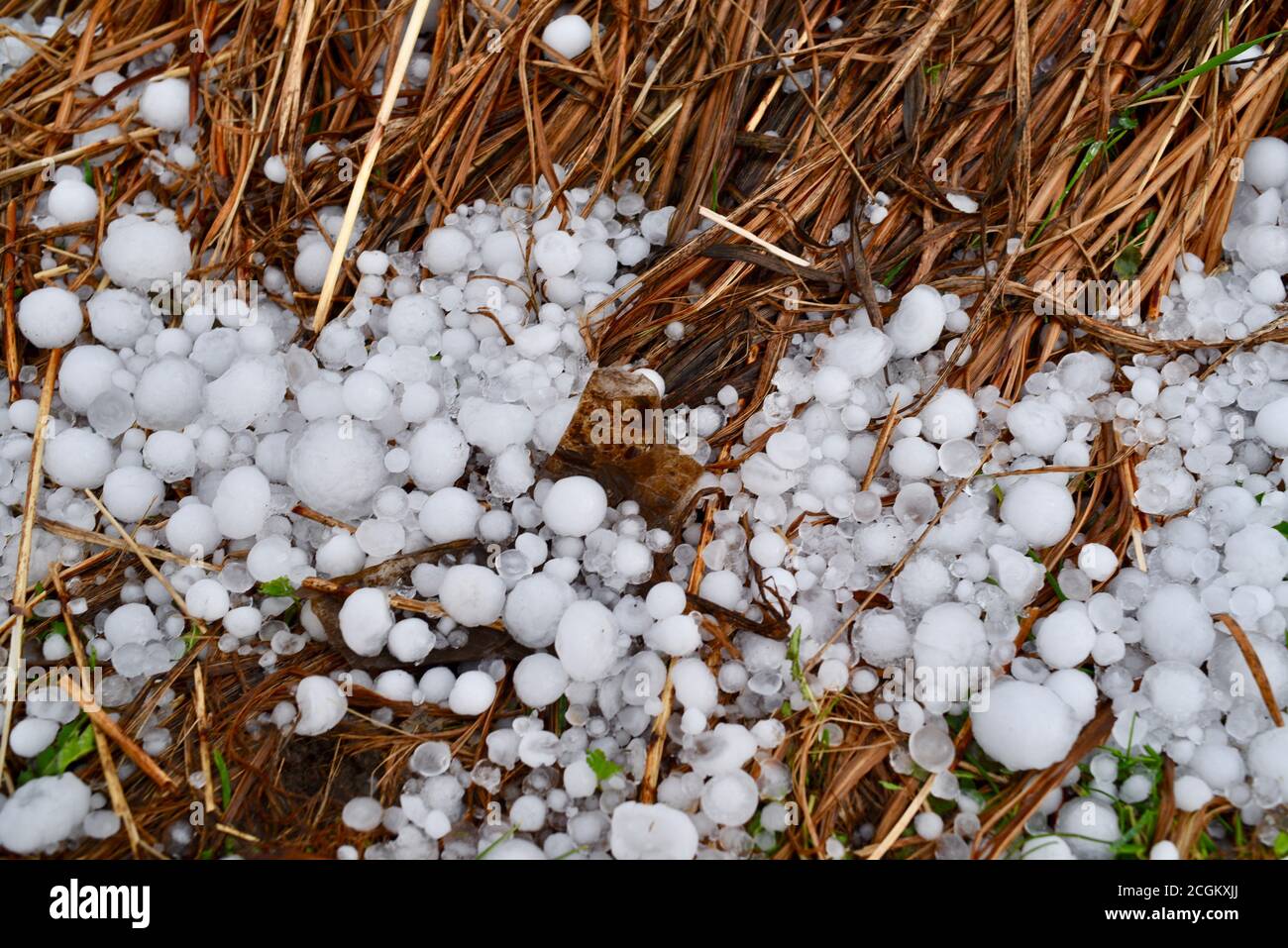 Huge hail stones hi-res stock photography and images - Alamy